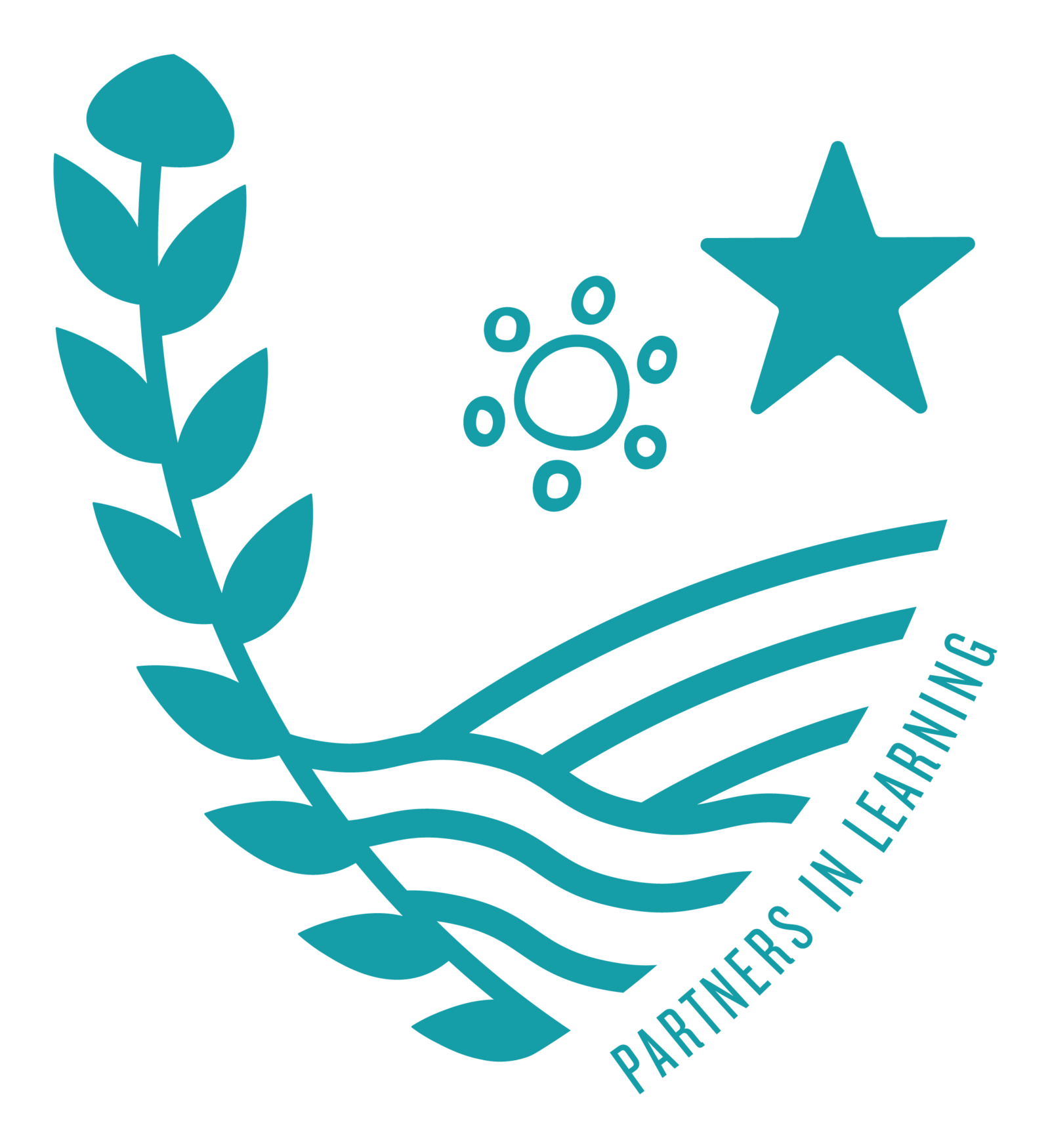 Schools – Macarthur Zone